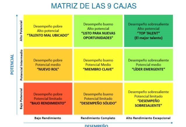 ¿Qué es una Matriz de Talento 9 Box? - Triangle